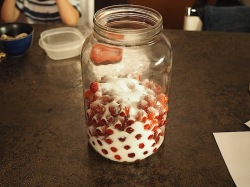 Homemade Vişinată – Original Romanian Recipe | Contravex: Essais de Pete D.