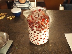 Homemade Vişinată – Original Romanian Recipe | Contravex: Essais de Pete D.