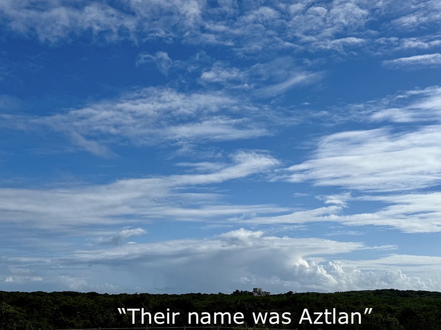 Release valves Maìa. | Contravex: Essais de Pete D.